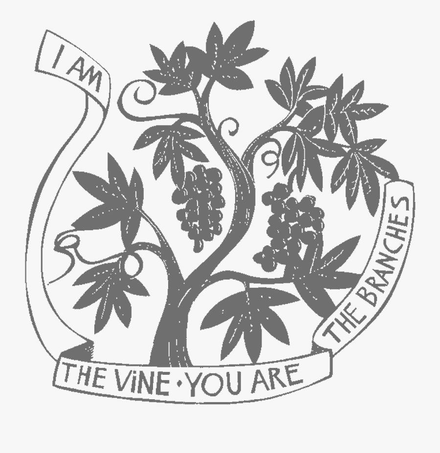 Transparent Black Vine Png - Illustration , Free Transparent Clipart ...