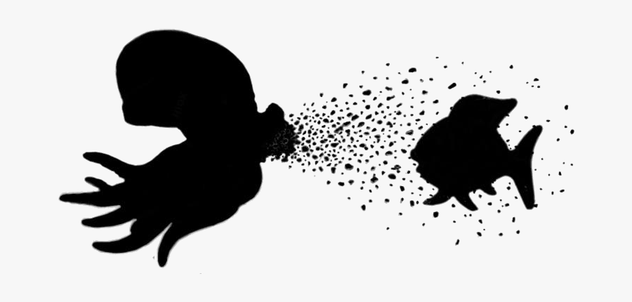 Rainbow Fish Png Transparent Images - Illustration , Free Transparent ...