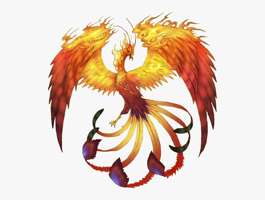 Firebird Drawing Fire , Free Transparent Clipart - ClipartKey