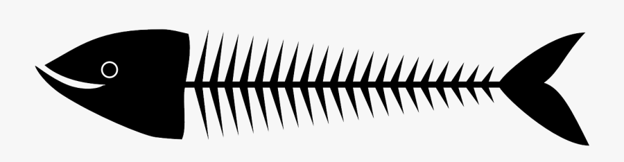 Fishbones Fish Skeleton Dead Png Image - Transparent Fish Bone , Free ...