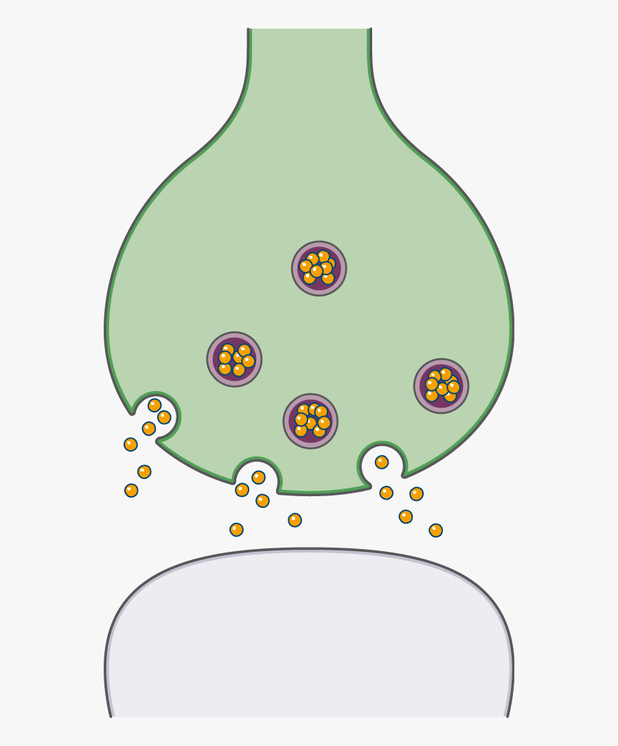 Synapse - Tree Synapse All Around , Free Transparent Clipart - ClipartKey