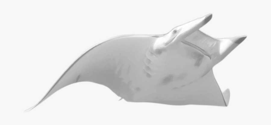 Manta Ray Png Pluspng - Manta Ray Png , Free Transparent Clipart ...