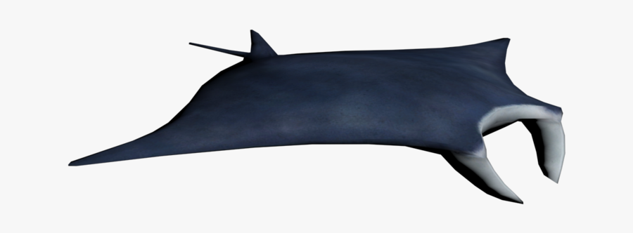 Manta - Манта Пнг , Free Transparent Clipart - ClipartKey