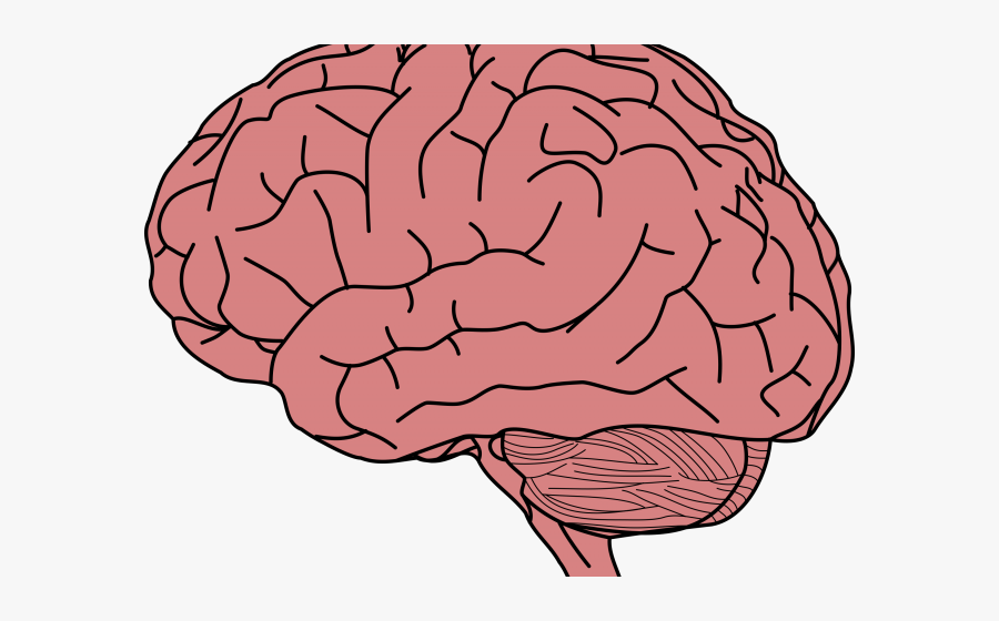 Transparent Background Brain Cartoon , Free Transparent Clipart ...