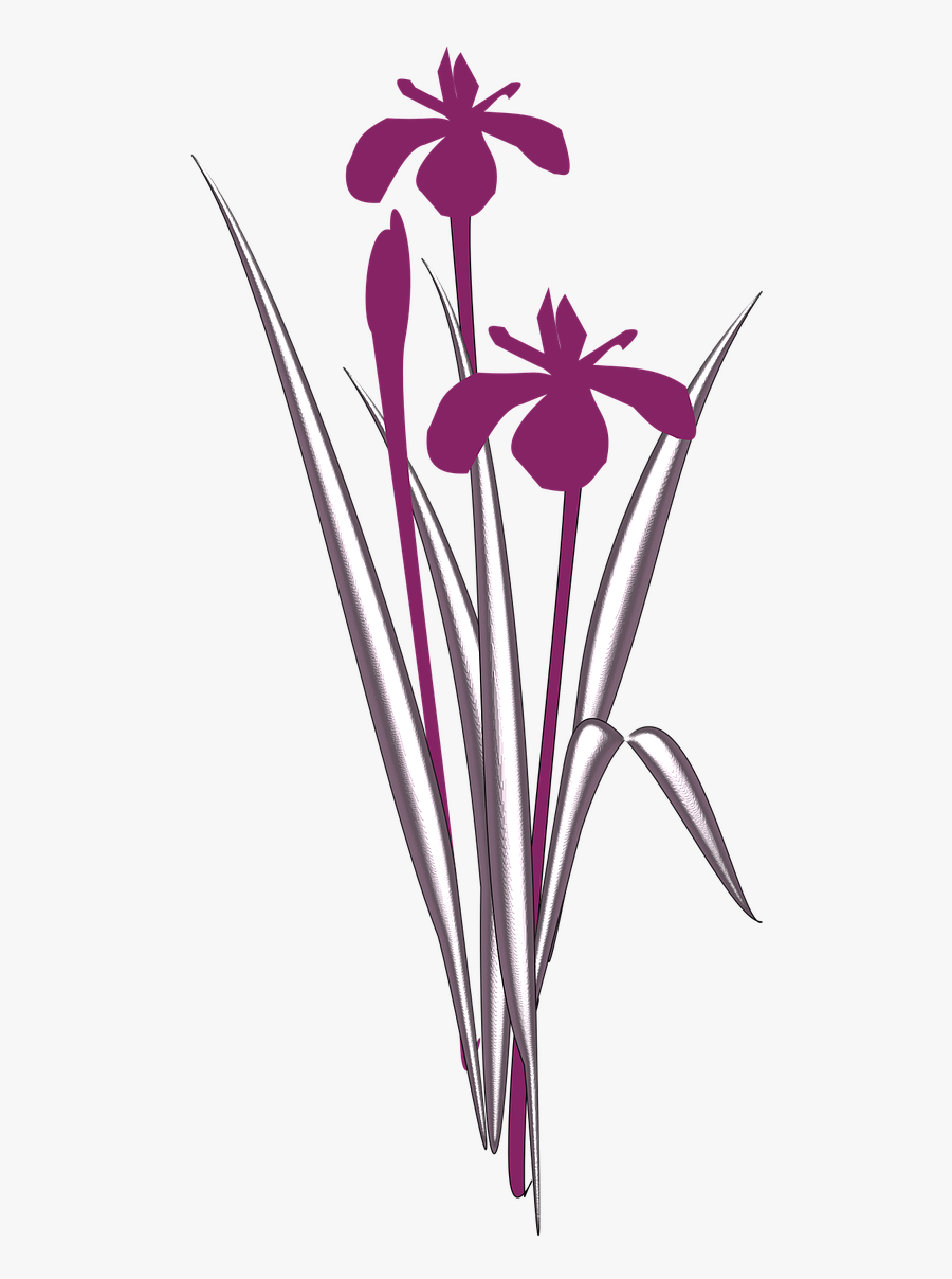 Simple Flower Clipart - Simple Iris Flower Clipart , Free Transparent ...