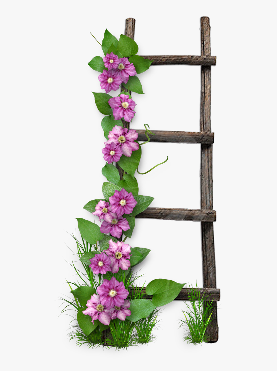 Flower Sign Borders Clip Art , Free Transparent Clipart - ClipartKey