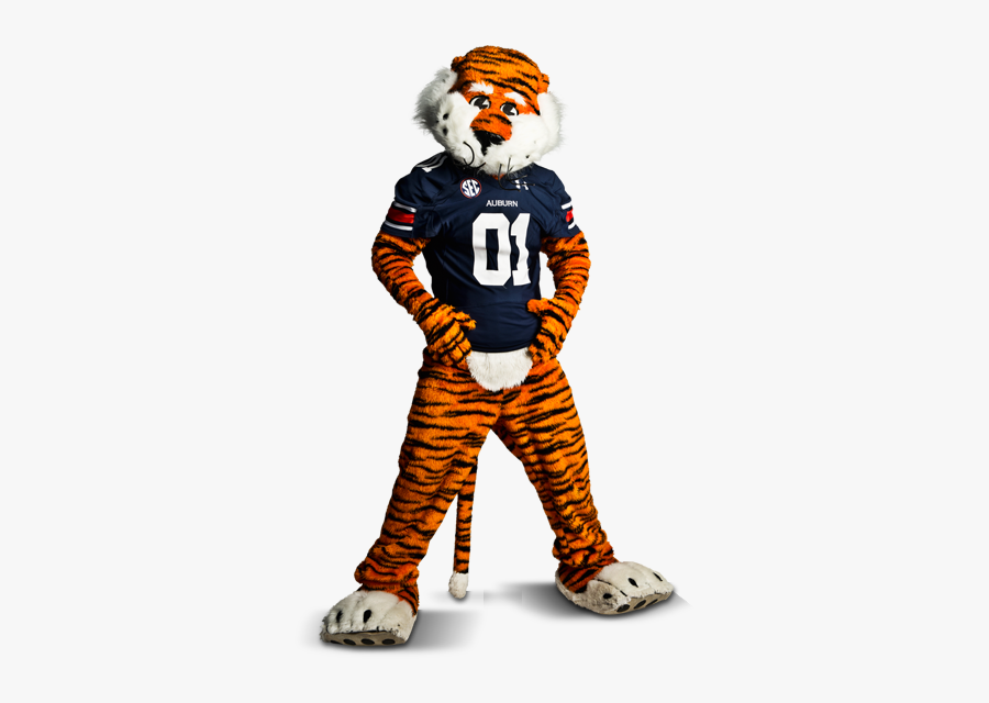 Aubie The Tiger Png , Free Transparent Clipart - ClipartKey