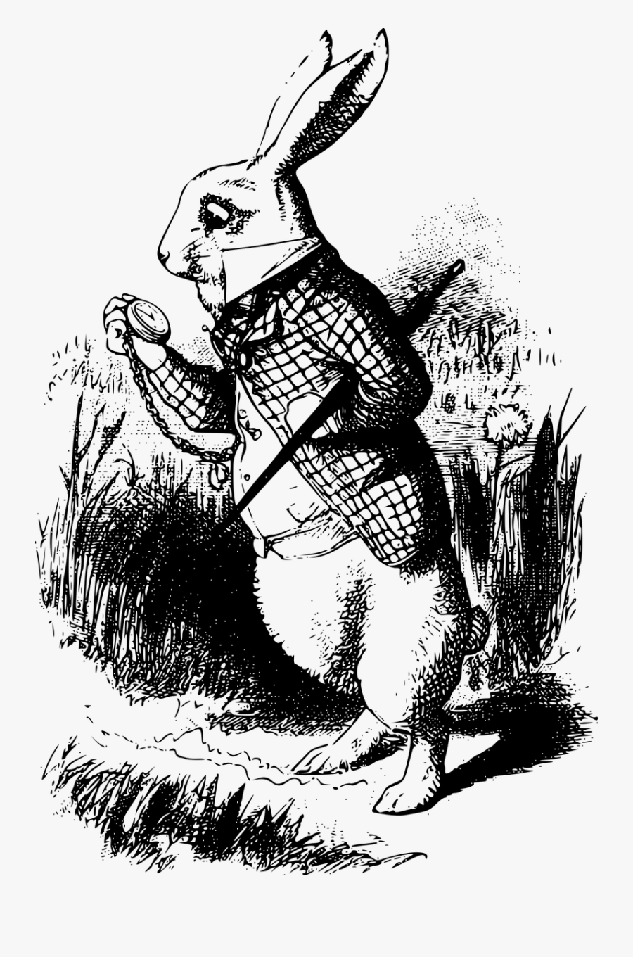 The White Rabbit - White Rabbit John Tenniel , Free Transparent Clipart ...