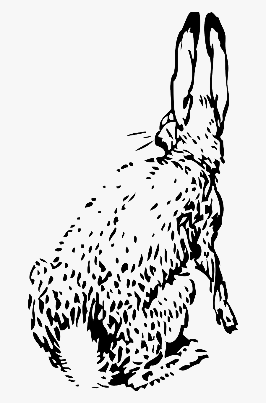 Rabbit Behind Animal Free Picture - Bunny From Behind Drawing , Free ...