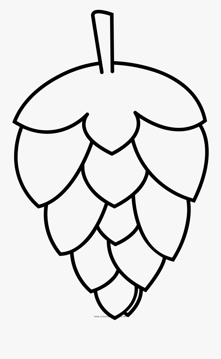 Hops Coloring Page - Line Art , Free Transparent Clipart - ClipartKey