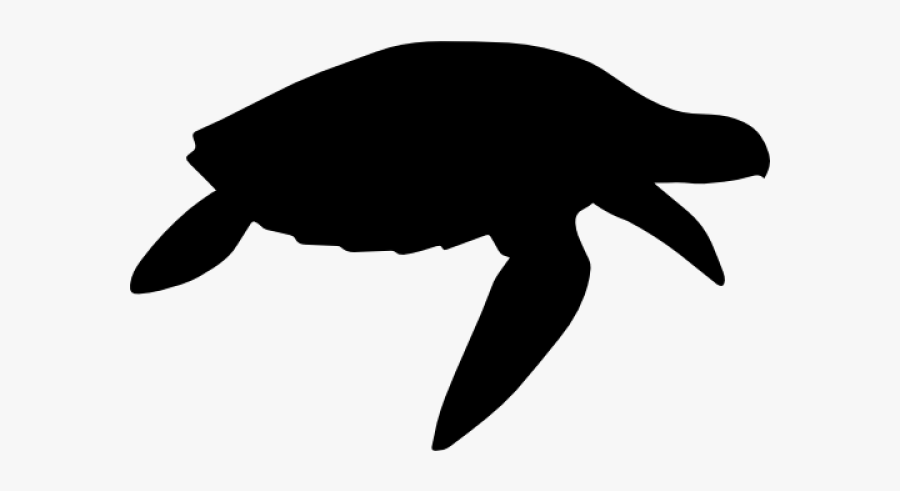 Sea Turtle Clipart Shadow - Turtles Silhouette , Free Transparent ...