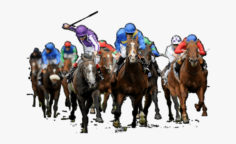 Horse Racing Transparent Background , Free Transparent Clipart - ClipartKey