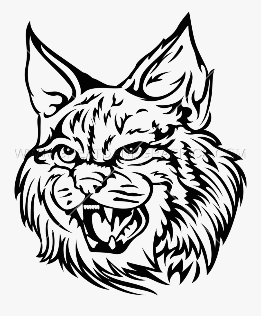 Wildcat Png Page - Wild Cat Drawing Transparent , Free Transparent ...