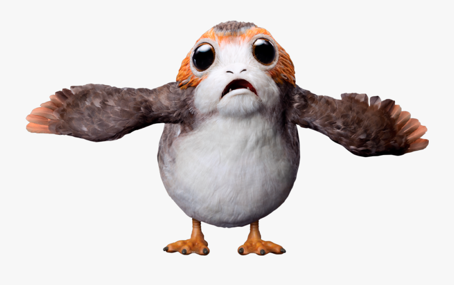 Porgs Were A Type Of Bird - Porg Star Wars Transparent , Free ...
