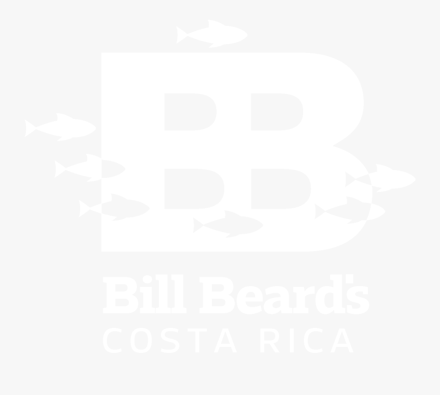 Bill Beard Costa Rica , Free Transparent Clipart - ClipartKey