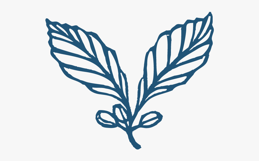 Kickapoo Coffee Home - Kickapoo Coffee Logo , Free Transparent Clipart ...