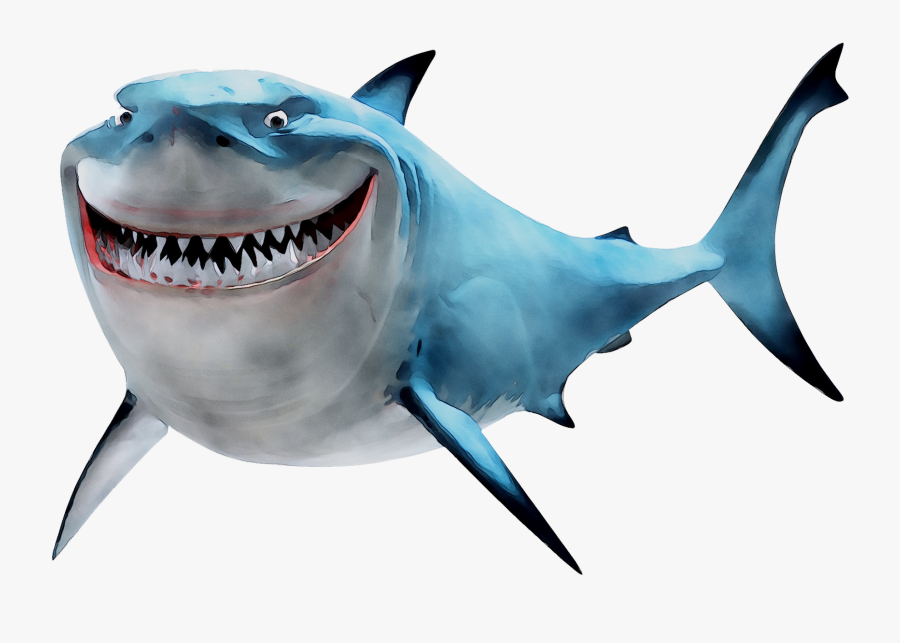 Bruce Great White Shark Portable Network Graphics Finding - Bruce ...
