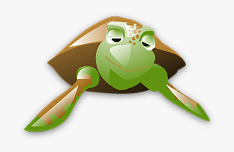 Nemo Fish Store at Carlo Simmons blog