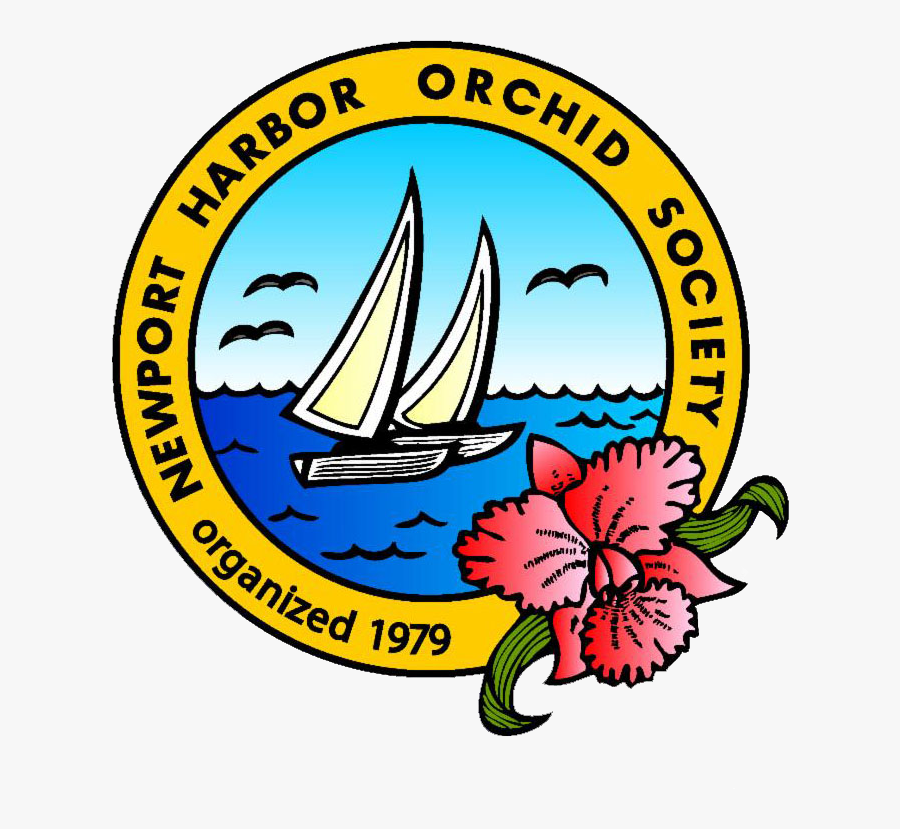 St Pedro Poveda Logo , Free Transparent Clipart - ClipartKey