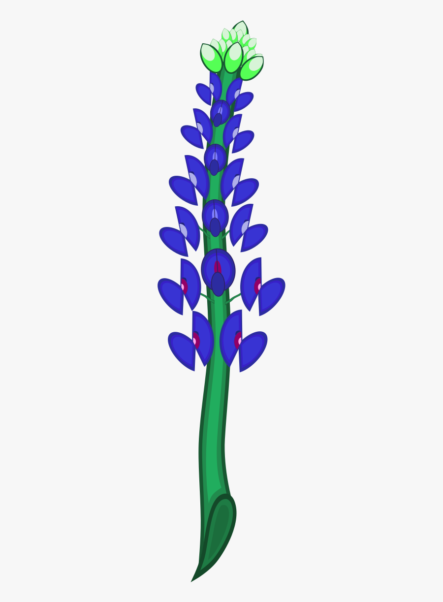 Bluebonnet Clip Art Free