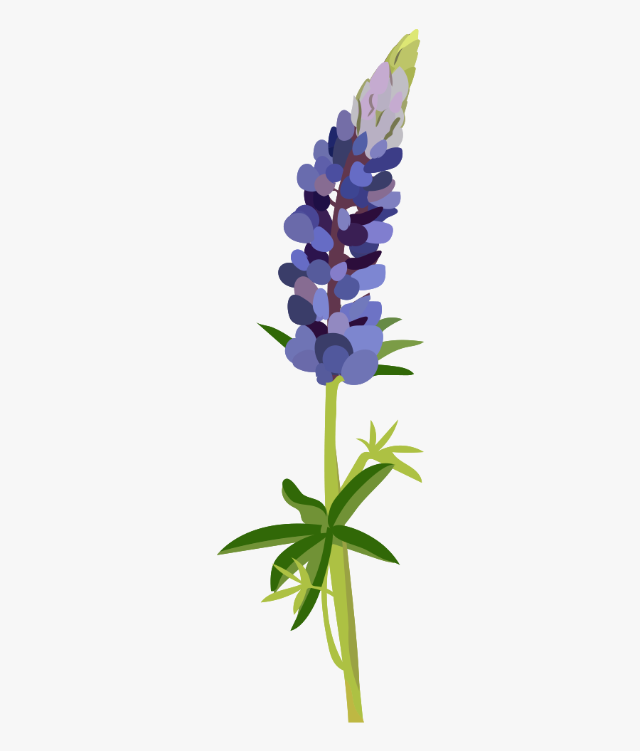 Bluebonnet Clip Art Free